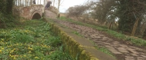 The River Gowy – GeoDetective